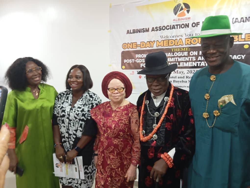 Albinism Association of Nigeria advocates timely implementation GDS ...